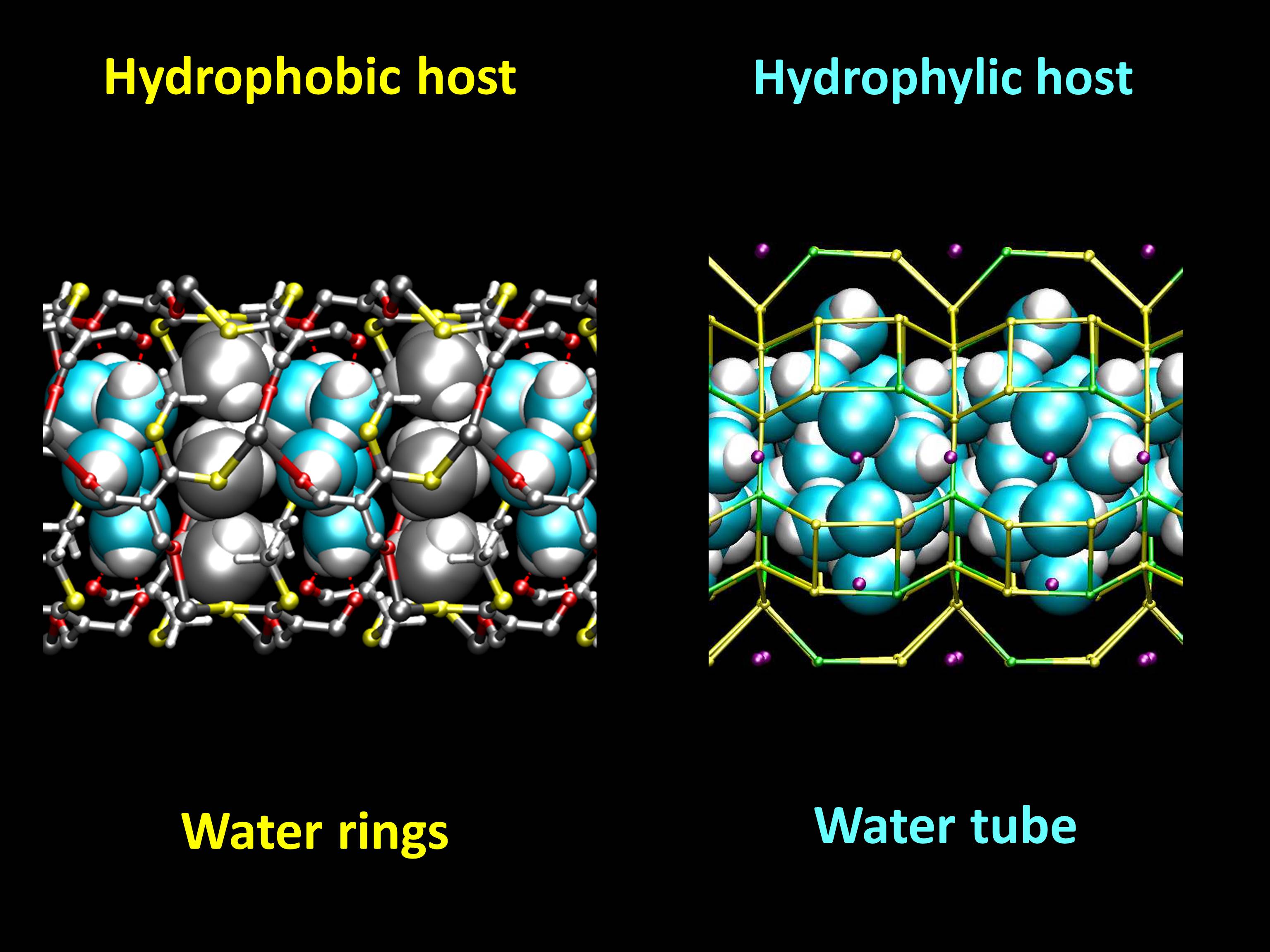 Water in hydrophobic and hydrophilic channels | Molecular Dreams